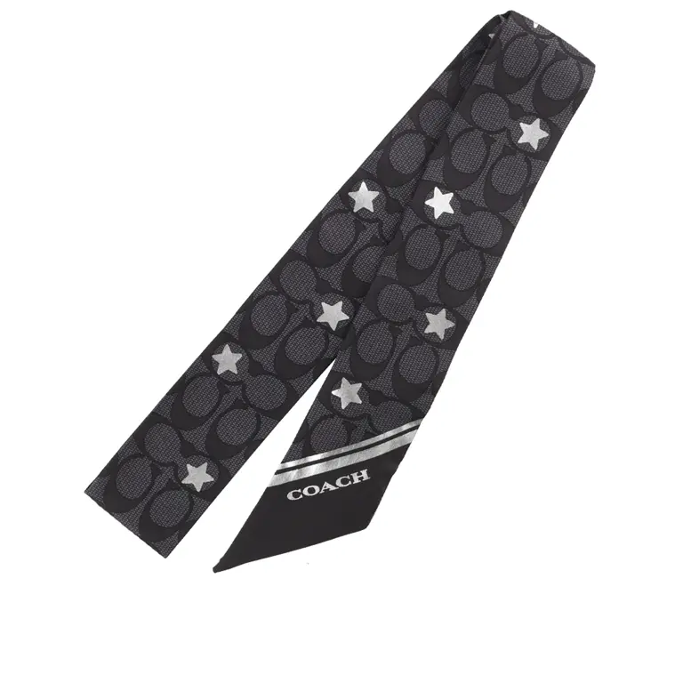 【COACH】CC Logo 滿版標誌及星星圖案絲巾/Twilly (石墨灰/銀色)｜Global Online｜Global Mall 環球 ...